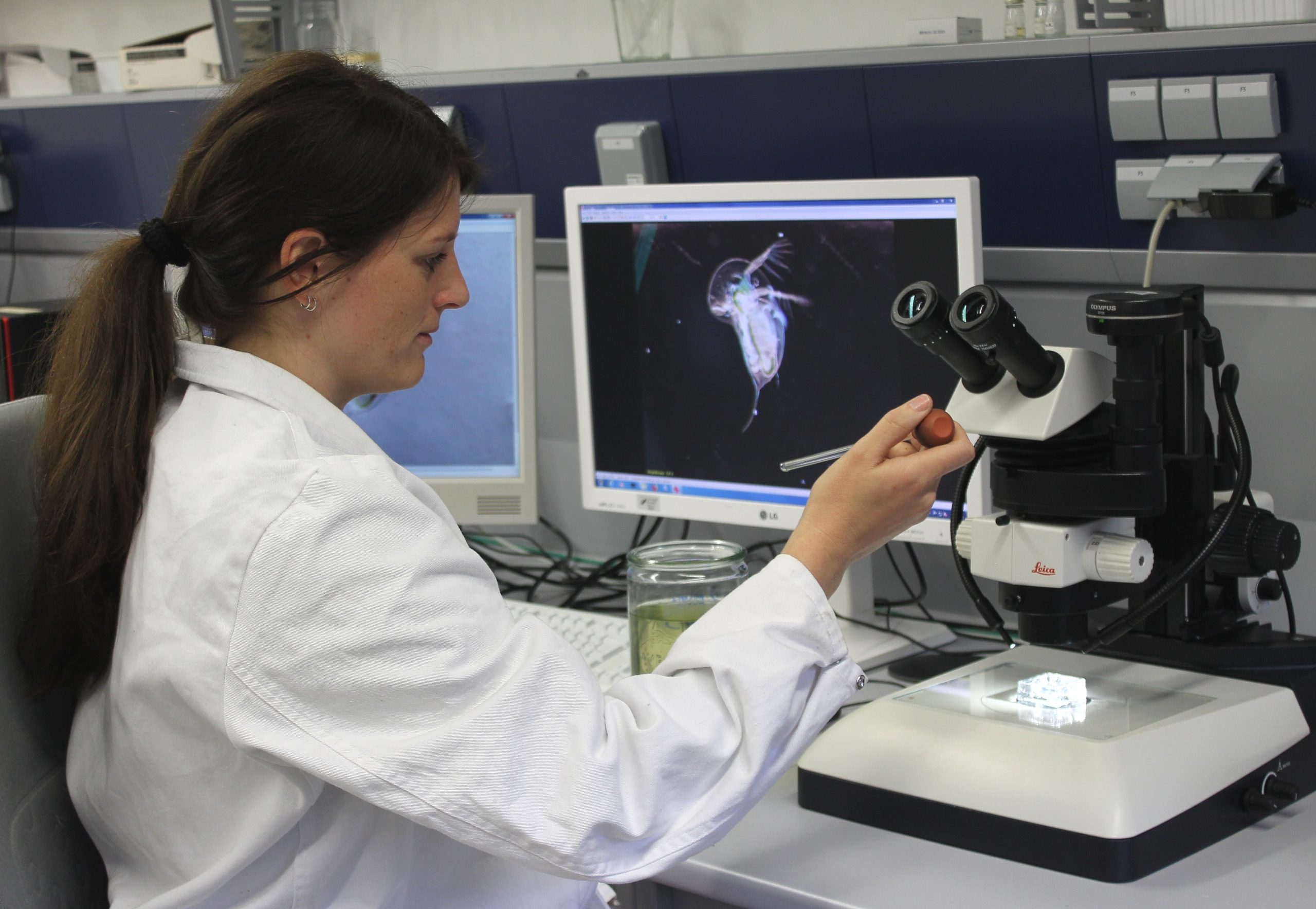 Plastikmüll stört Kommunikation - WASSER ABWASSER TECHNIK